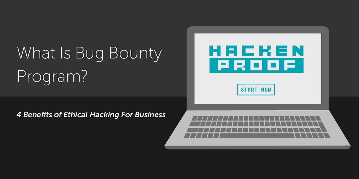 What Is Bug Bounty Program?. 4 Benefits of Ethical Hacking For… | by ...