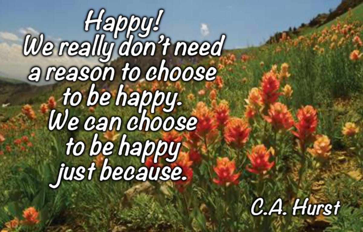 Happy! - C. A. Hurst - Medium