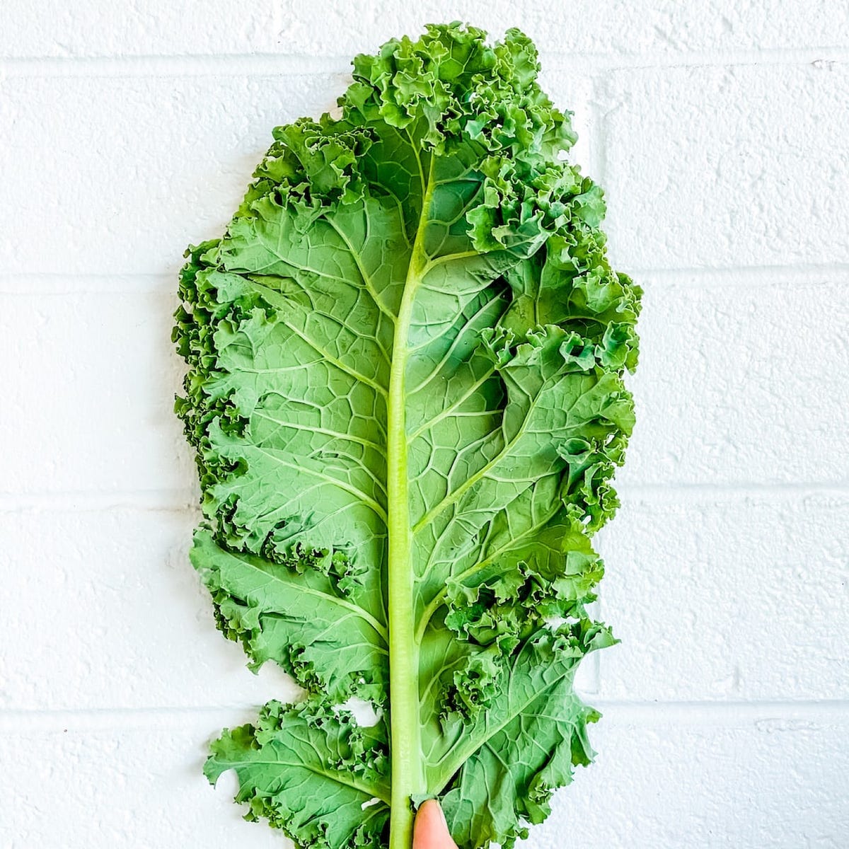 Why Kale is a Disease-Killer 🥬🔪 | by Milee Naegele | Medium