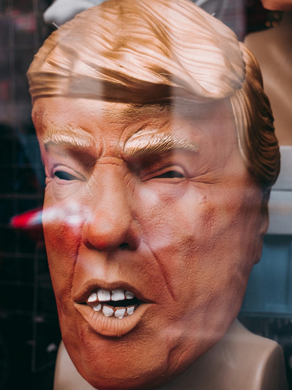 MR. TRUMP, START BY DEFAULT – PLEASE DEPORT YOUR WIFE – A HISTORICAL ...