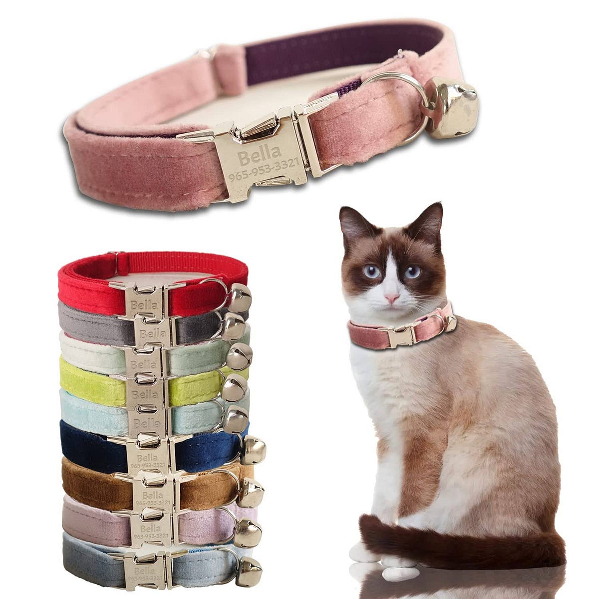 Cat Collars. Welcome to our roundup of Cat Collars … | by John Tucker ...