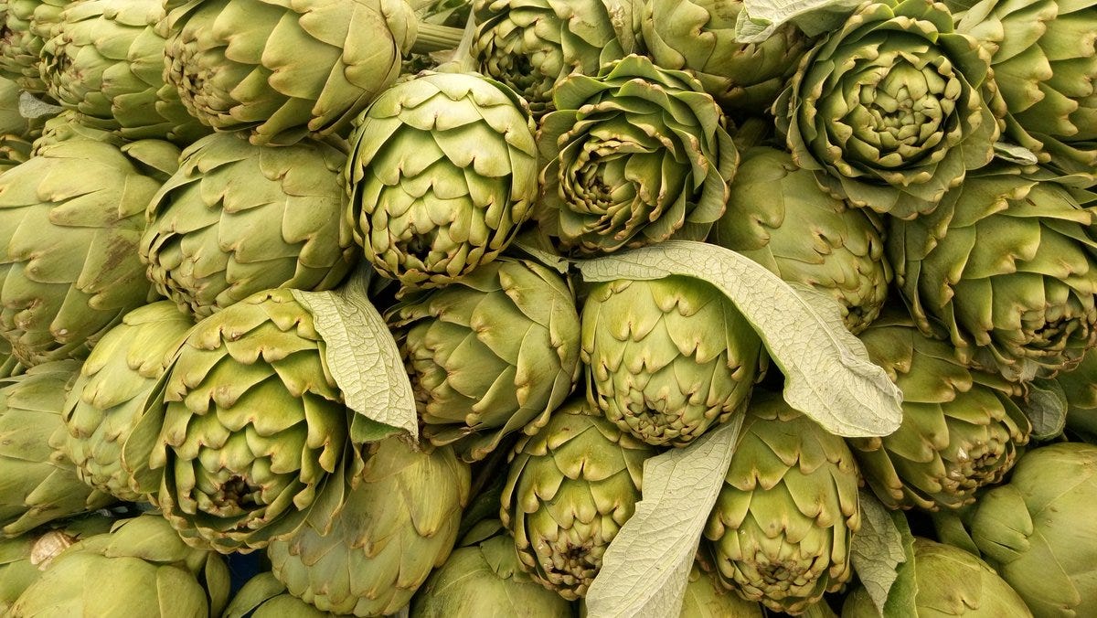 Urla’da Enginar Festivali Coşkusu | by Merve Alparslan | Medium