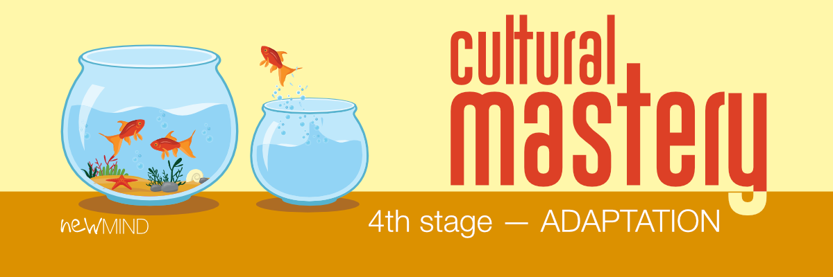 Cultural Adaptation / mastery · stage 4 | by Neil Mason | Medium