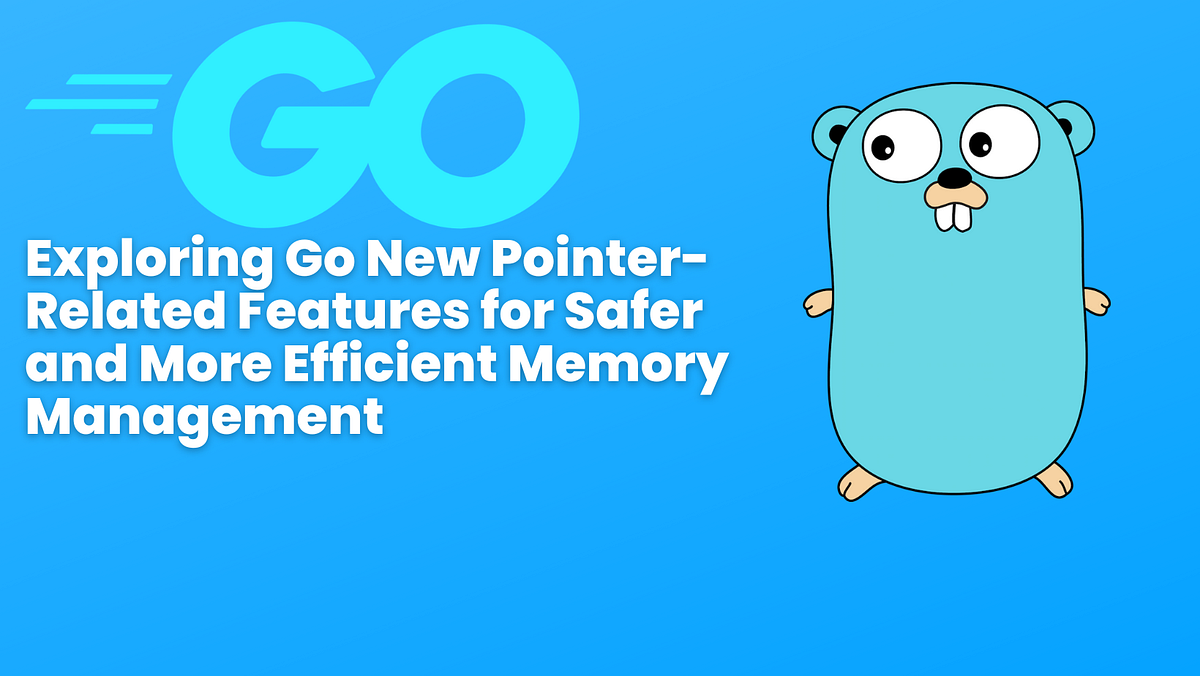 Exploring Go New Pointer-Related Features for Safer and More Efficient Memory Management | by ...