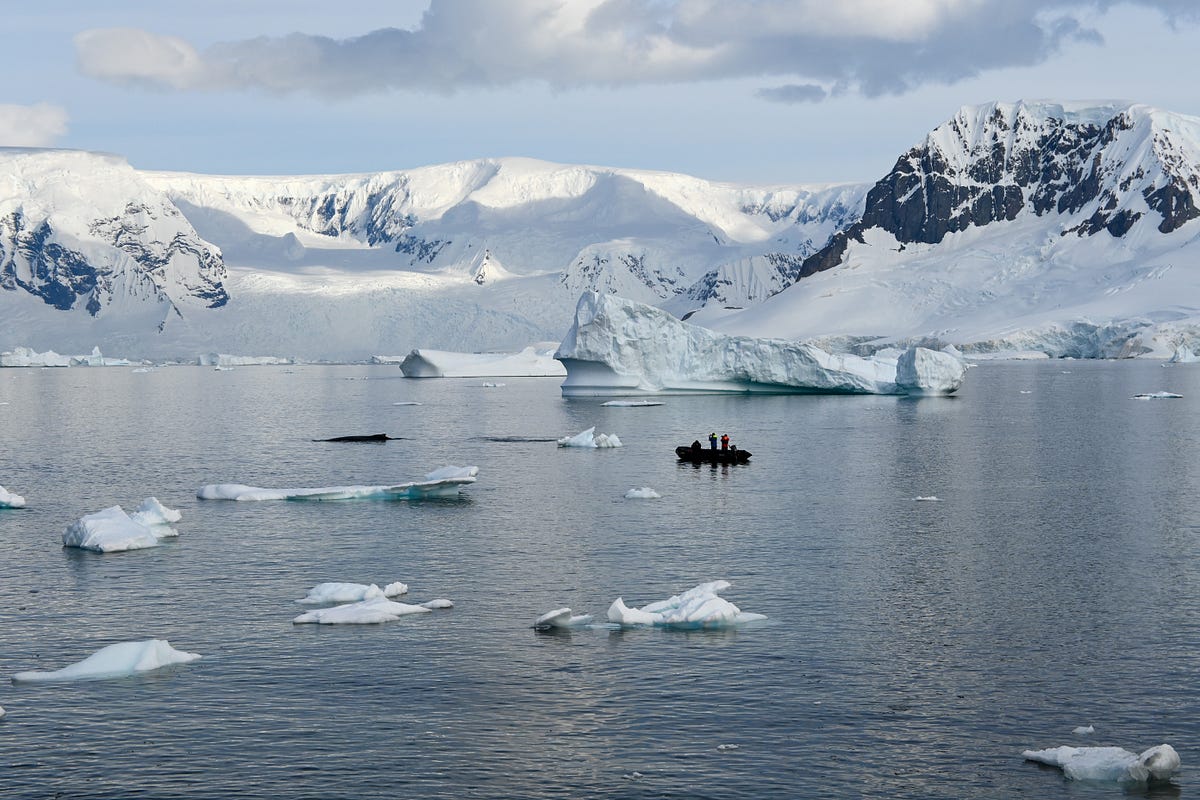 Strategy Revealed: Travel Antarctica Without Breaking The Bank | by ...