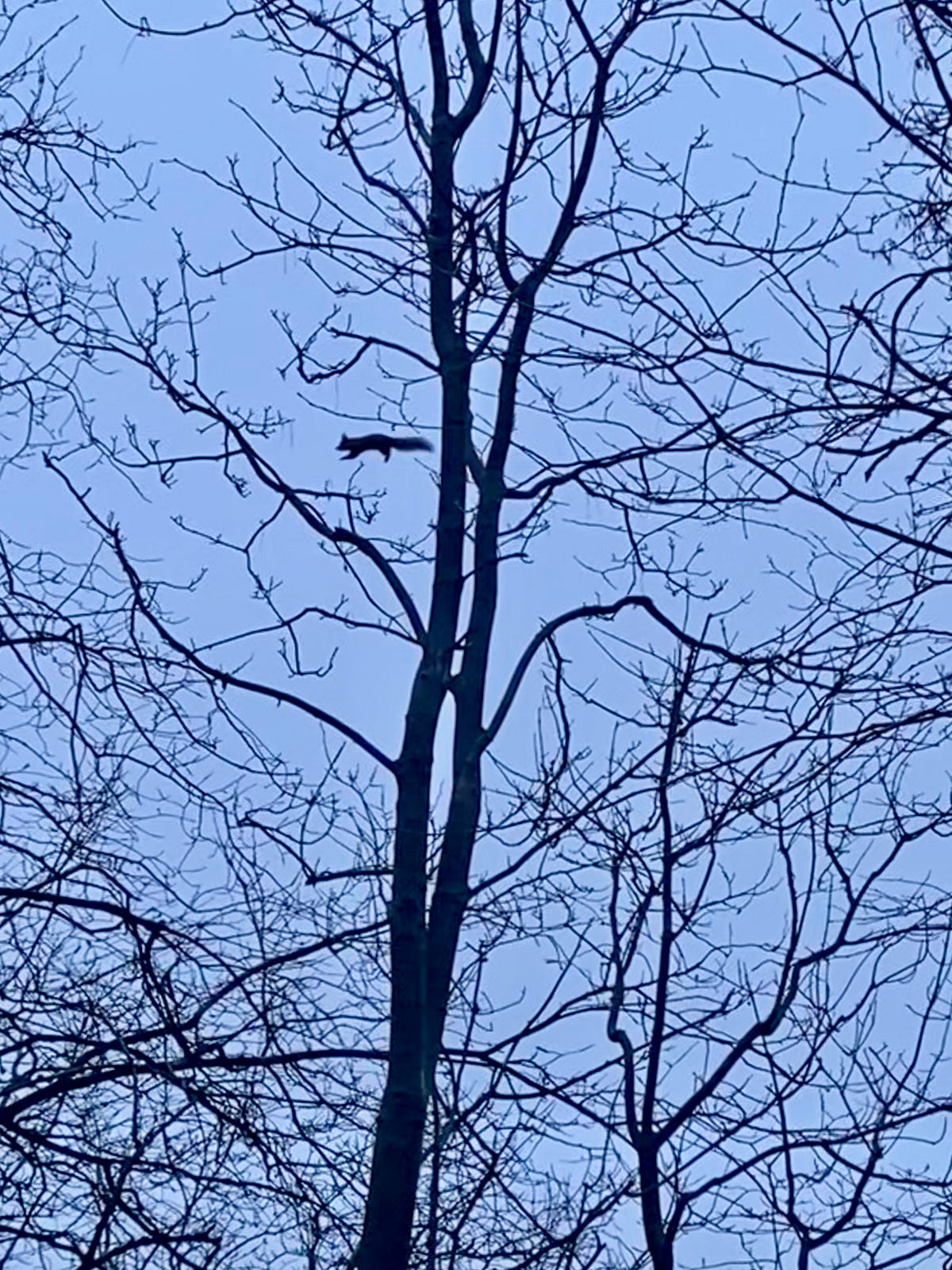 5 Stories I’ve Enjoyed Reading This Week #3 | by Diane Brander | Peace, Love & Crappiness | Medium