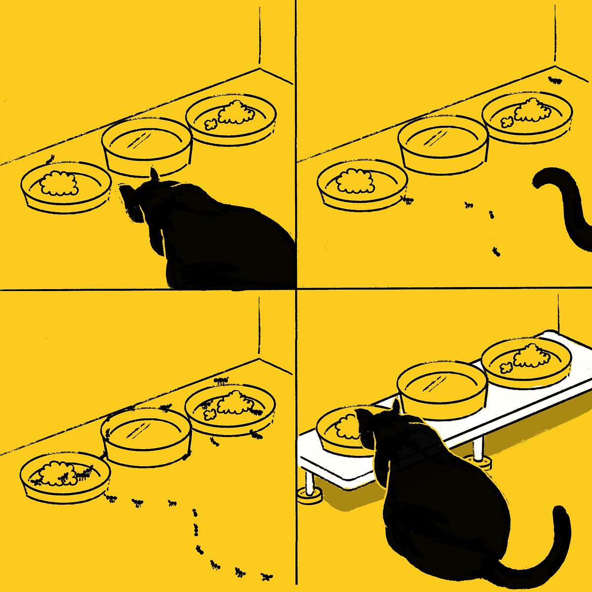 DIY Cat Food Table. Cat problems, hardware solutions | by emily | Medium