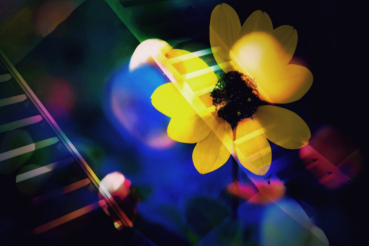 Why Yellow Can Be So Powerful in Your Photos | by Paul A Domenick ...