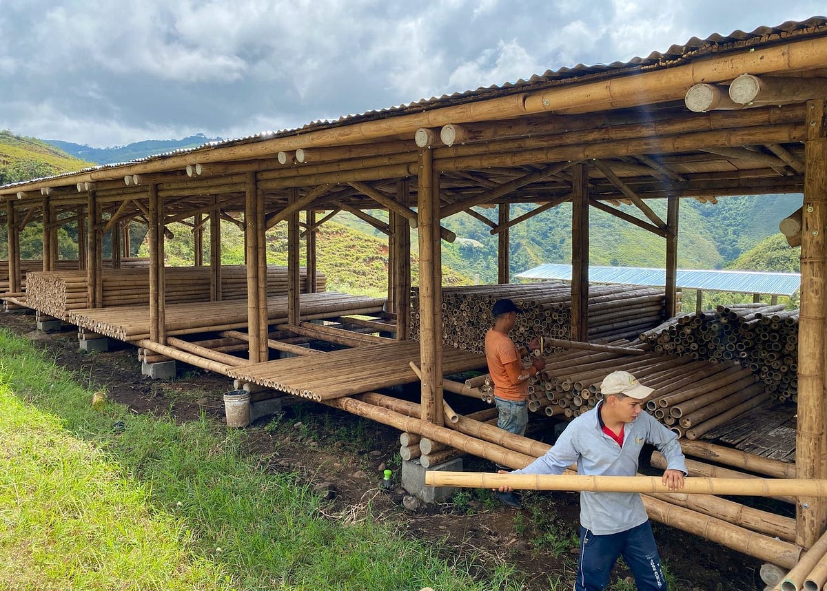 Construcciones con bambú: Diseños impresionantes y sustentables | by ...