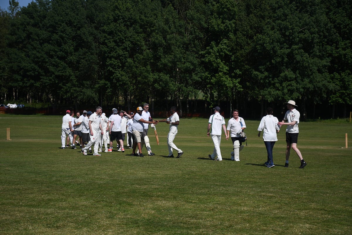 The Gentle Roar of Friendly Cricket: Celebrating the Joyful Alternative ...