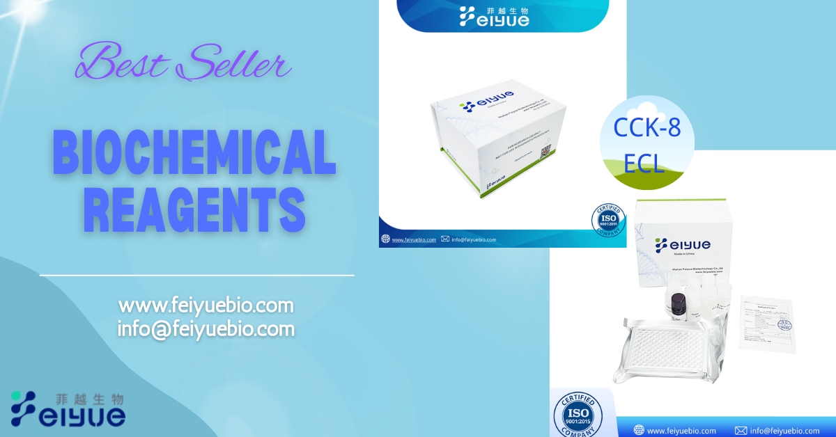 Glutamate (Glu) Colorimetric Assay Kit | by Feiyuebiodaisy | Medium