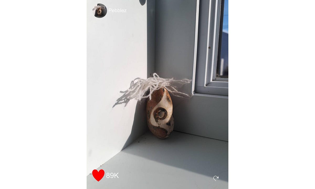 A Pebble Finds Her Inner Stone. Vanity Fair Reporter Dolores Donne… | by Turi Sue | Short and ...