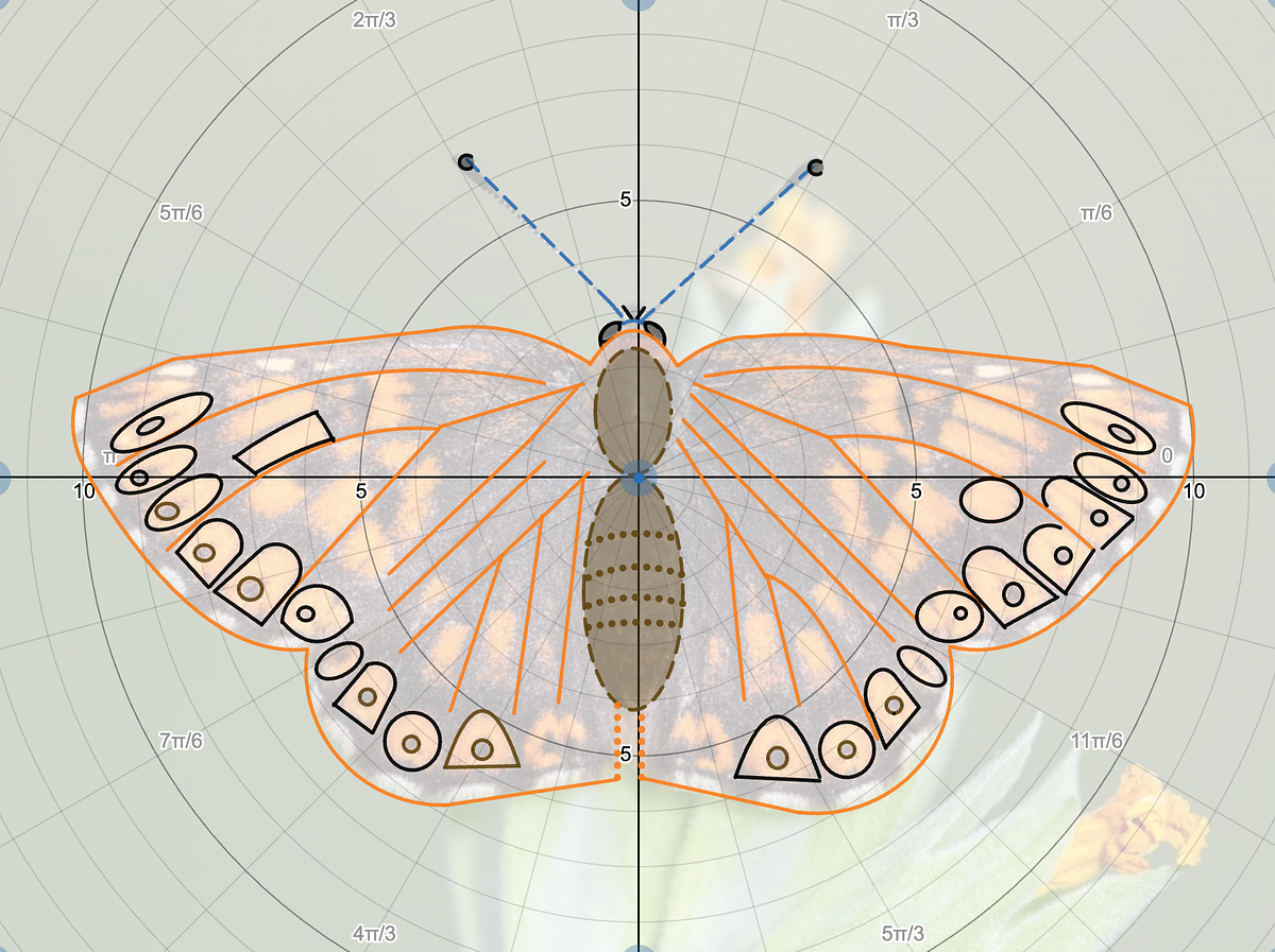 The Duke of Burgundy Butterfly- A Polar Equation Portrayal | by Rulin ...