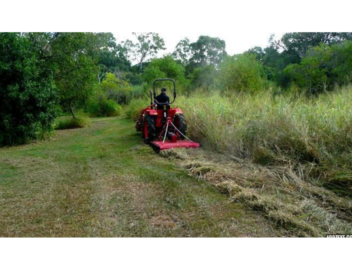 Importance of Slashing in Lawn Care and Maintenance | by Canaussiecan ...