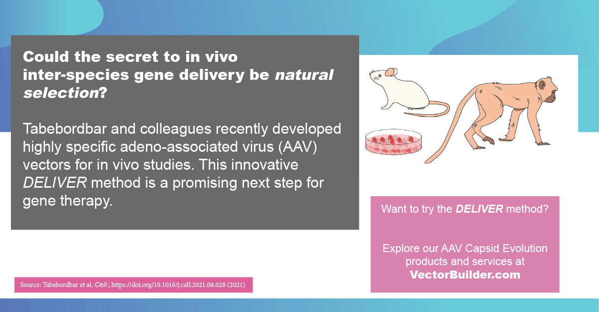 Making Darwin proud. In the past, gene therapy has been… | by ...