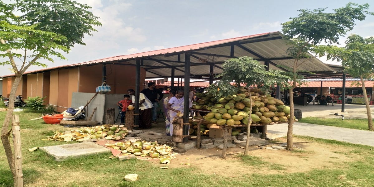 How to recycle tender and mature coconuts? | by Planet Rescue 101 ...