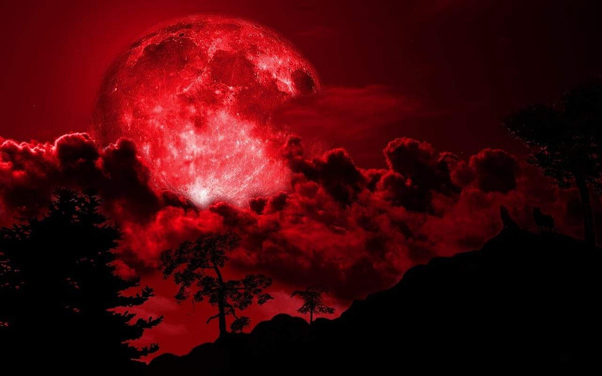 The Devil’s Moon — Arlo, Cleric/Sorcerer | by Adahn | Jul, 2024 | Medium