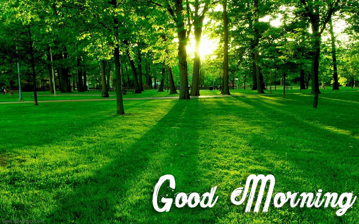The Impact of Good Morning Images: Infusing Positivity into Your Day ...