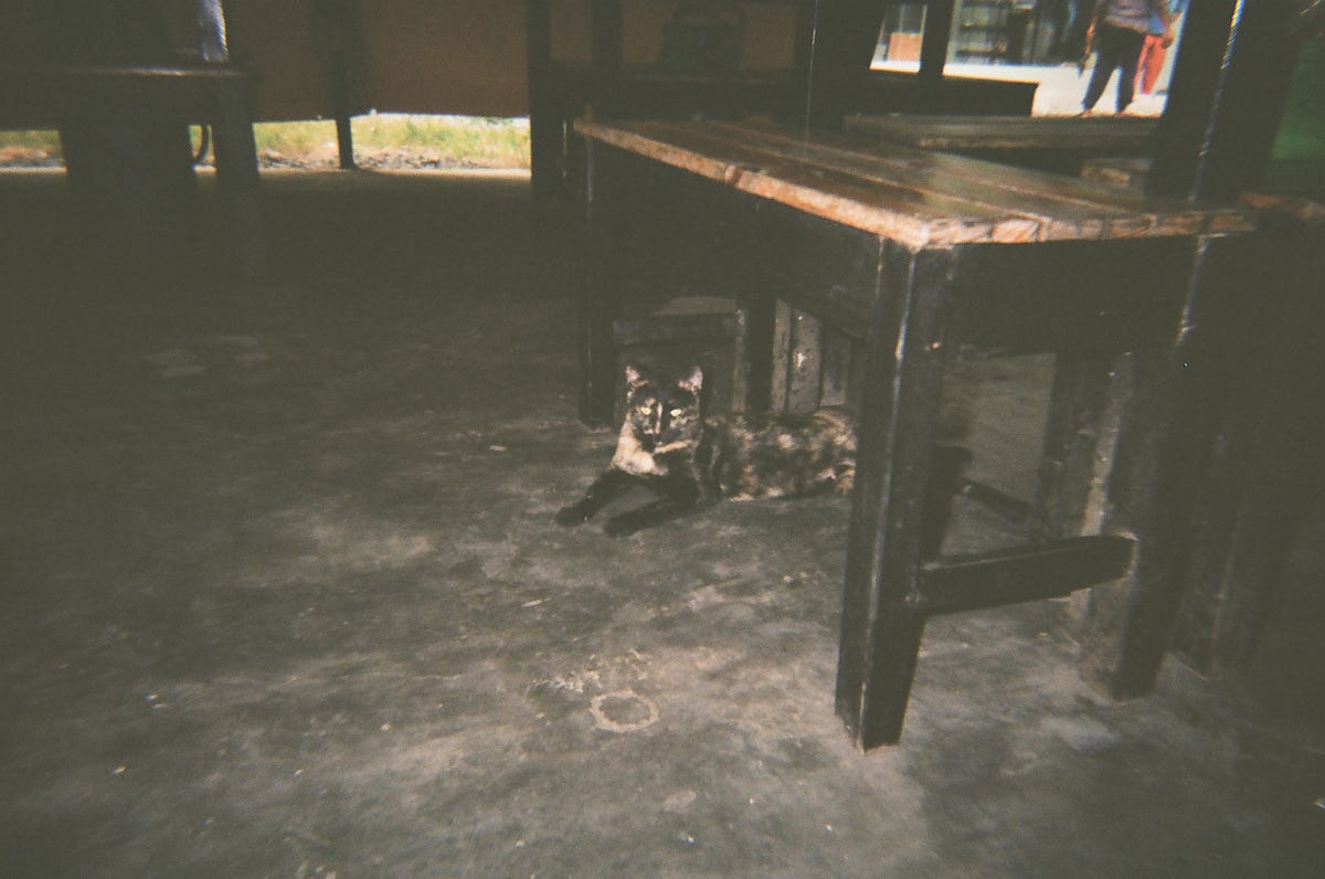 Film Diary. Date: March 22, 2022 | by Irish Flolen | Medium