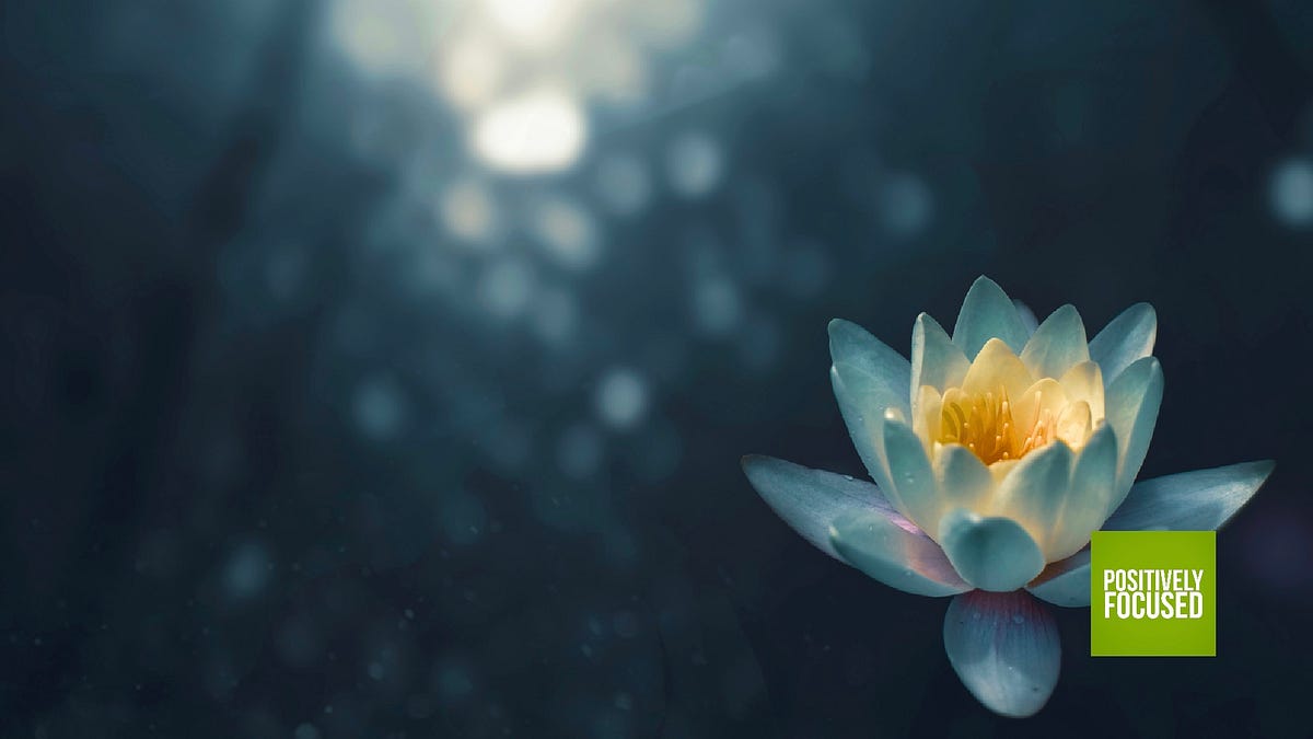 An Excellent Example Of Why I Trust Spiritual Guidance | by Perry ...