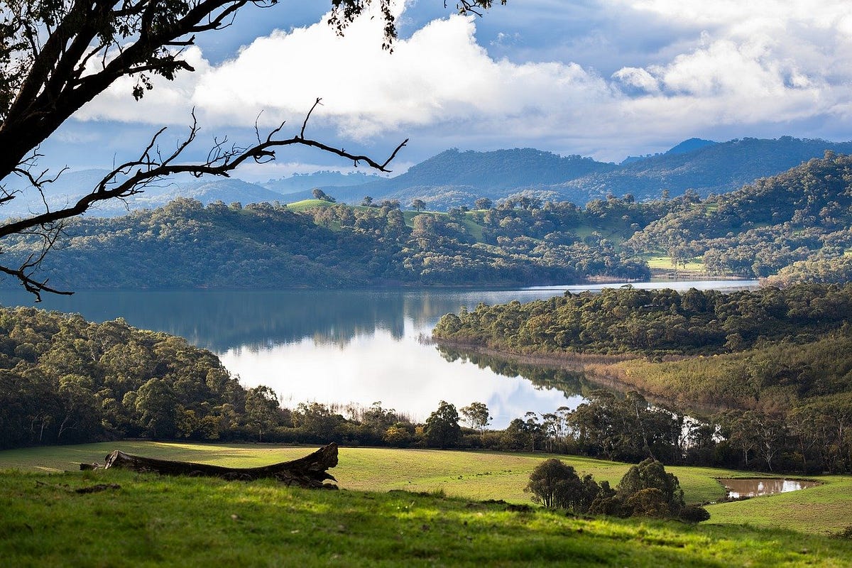 How Nature Works - Algiz Media - Medium