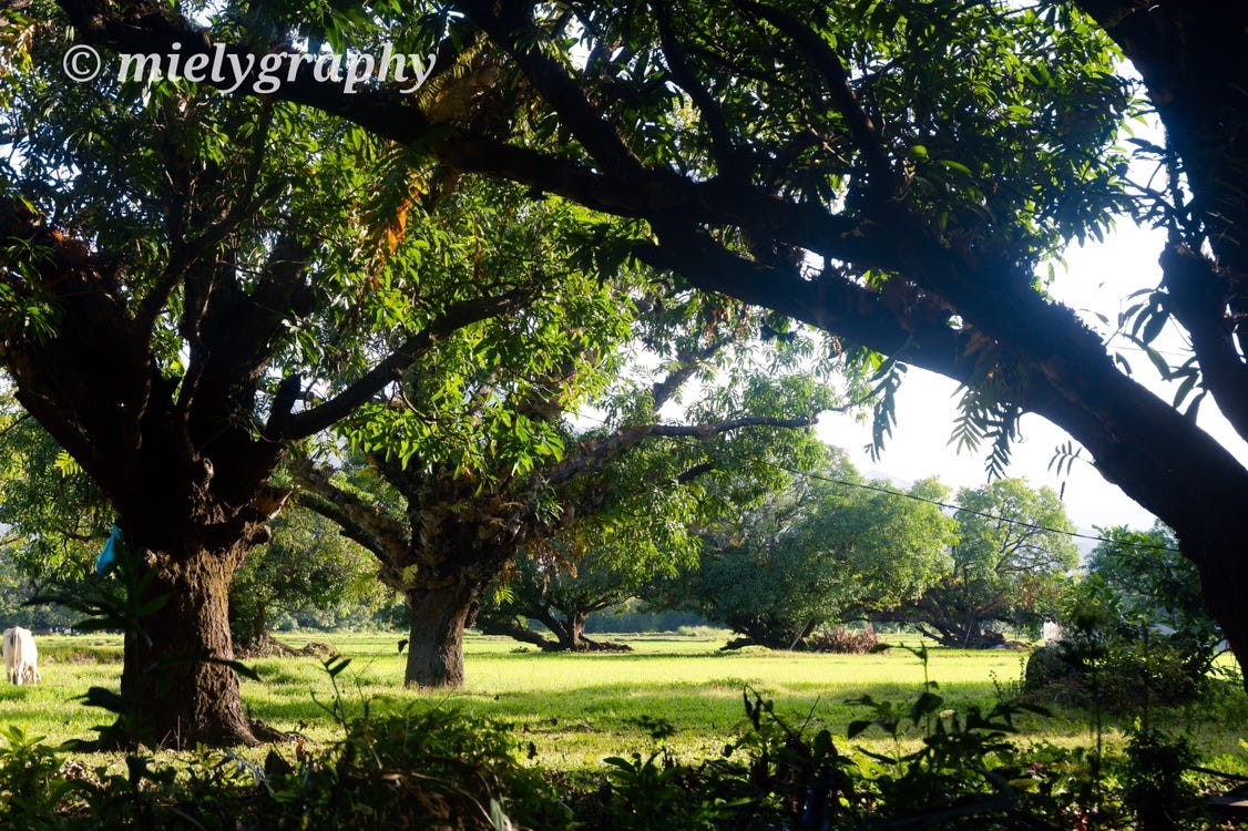 Our Holiday Trip to Masinloc, Zambales (With Mini Trip Guide) | by miel ...