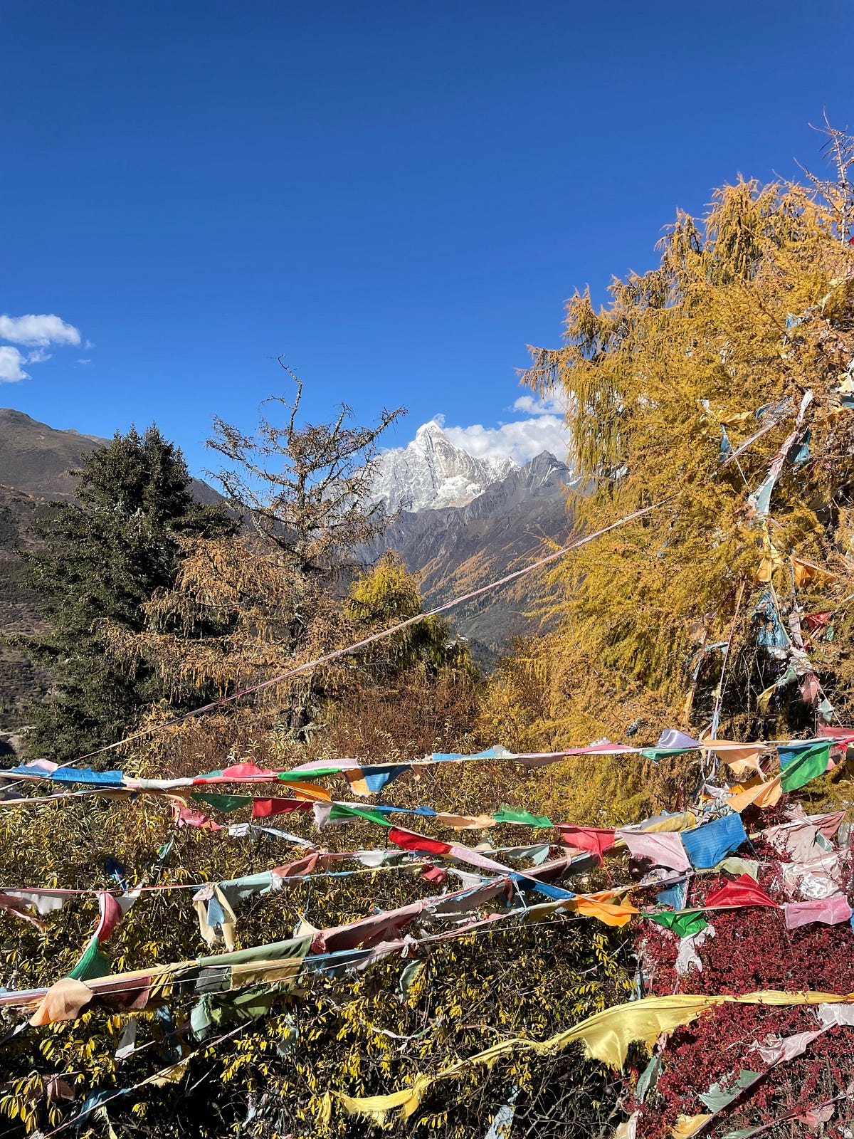 Out of Thin Air: The 4500m Four Sisters Mountain, China | by Harriet ...