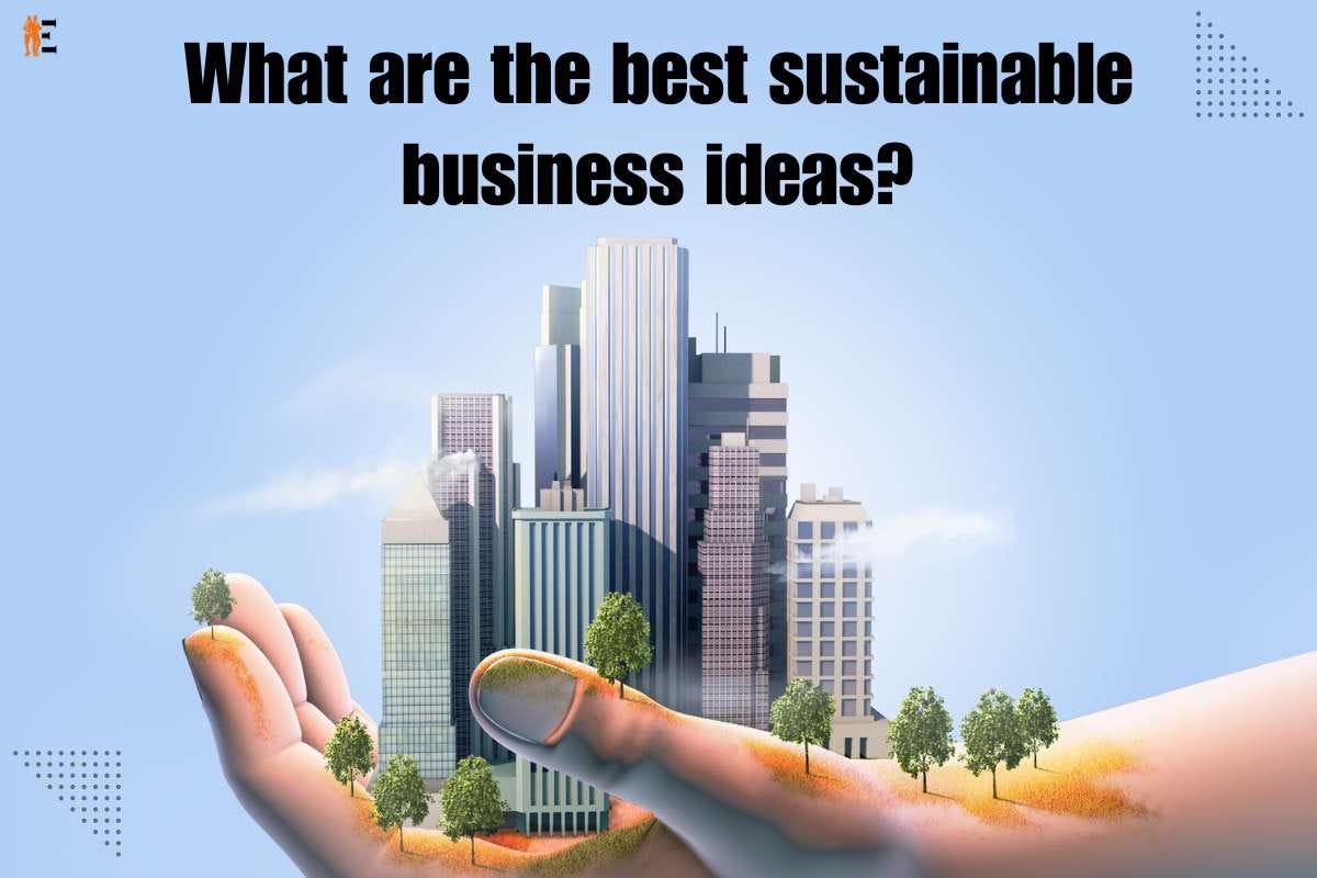 What are the best sustainable business ideas? | by The Entrepreneur ...