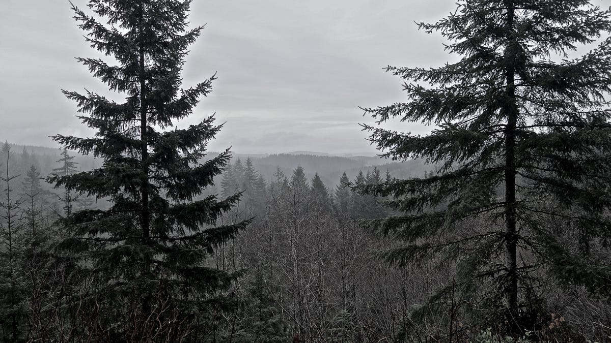 Cloudy Sunday. Photos from the Oregon Coast | by adrian vila | Medium