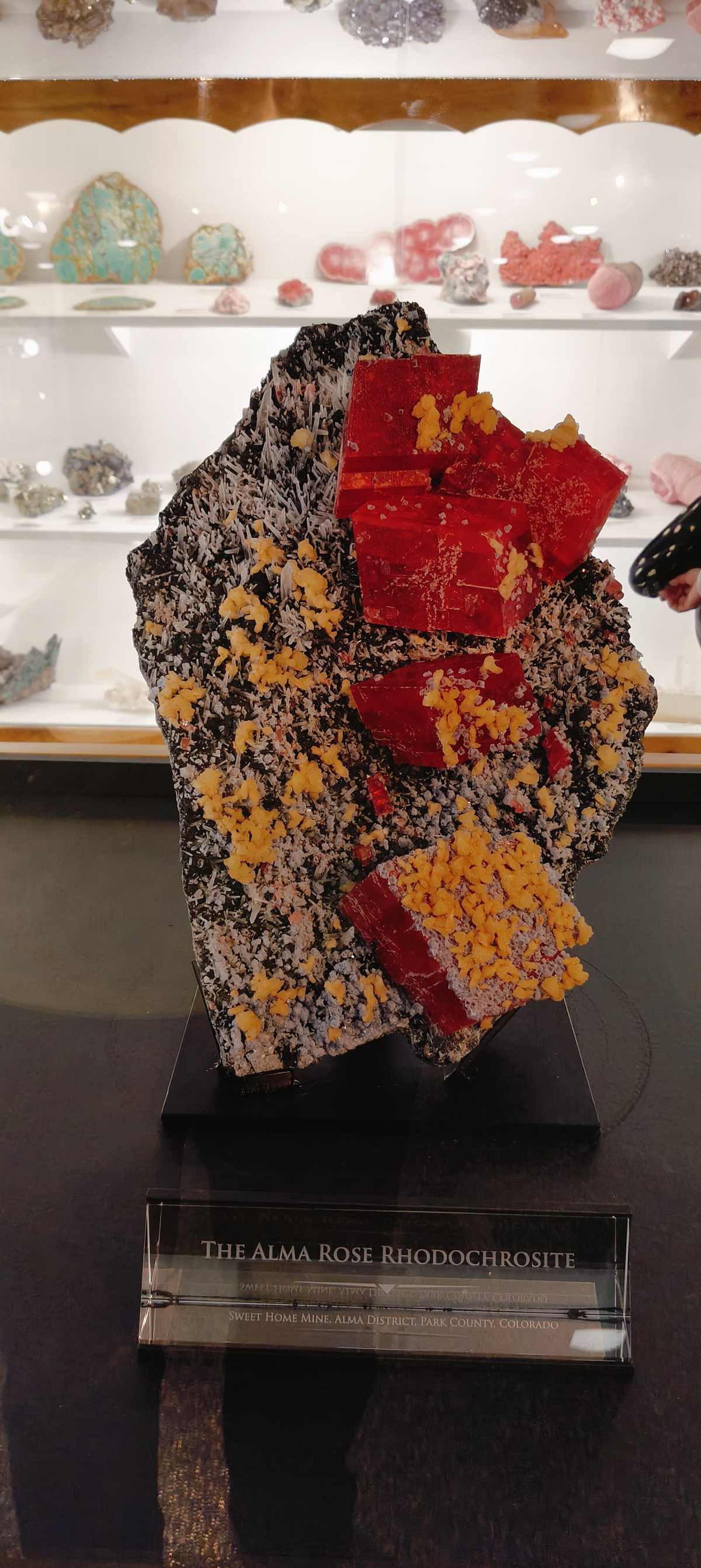 A Gem in the Heart of the Earth: The Rice NW Museum of Rocks and ...