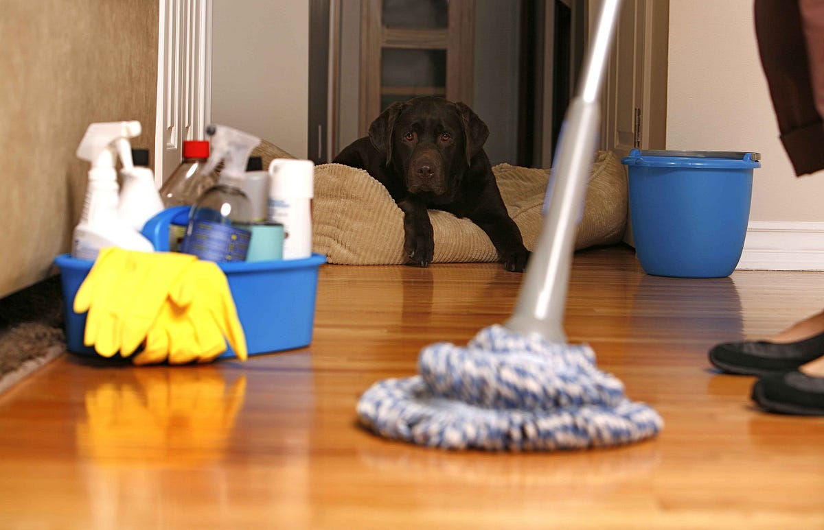 3 Types Of House Cleaning Services | by Best Cleaning Services | Medium