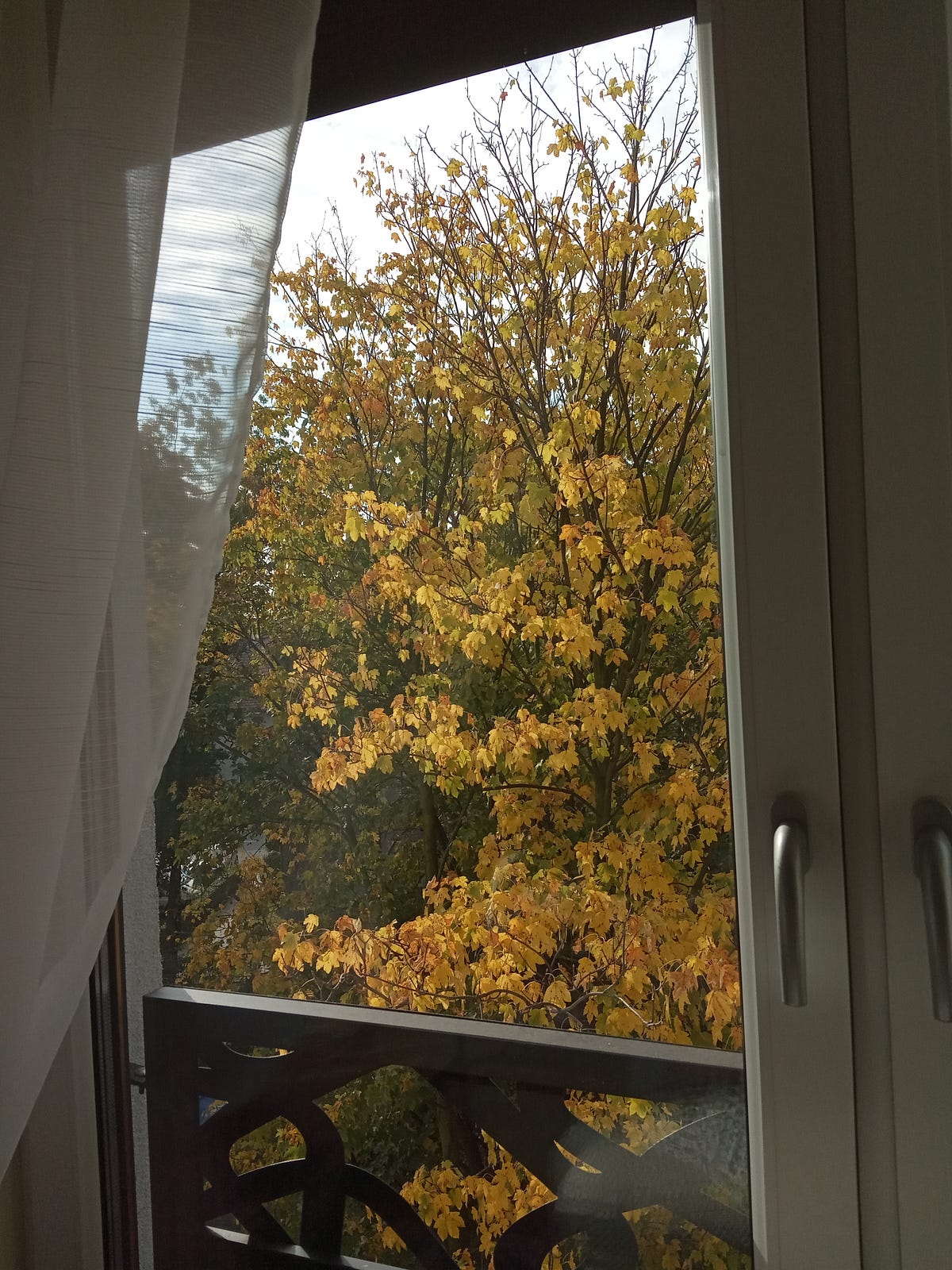 Yellow Window. Look at my window and tell me what to… | by Rhonda Krol ...
