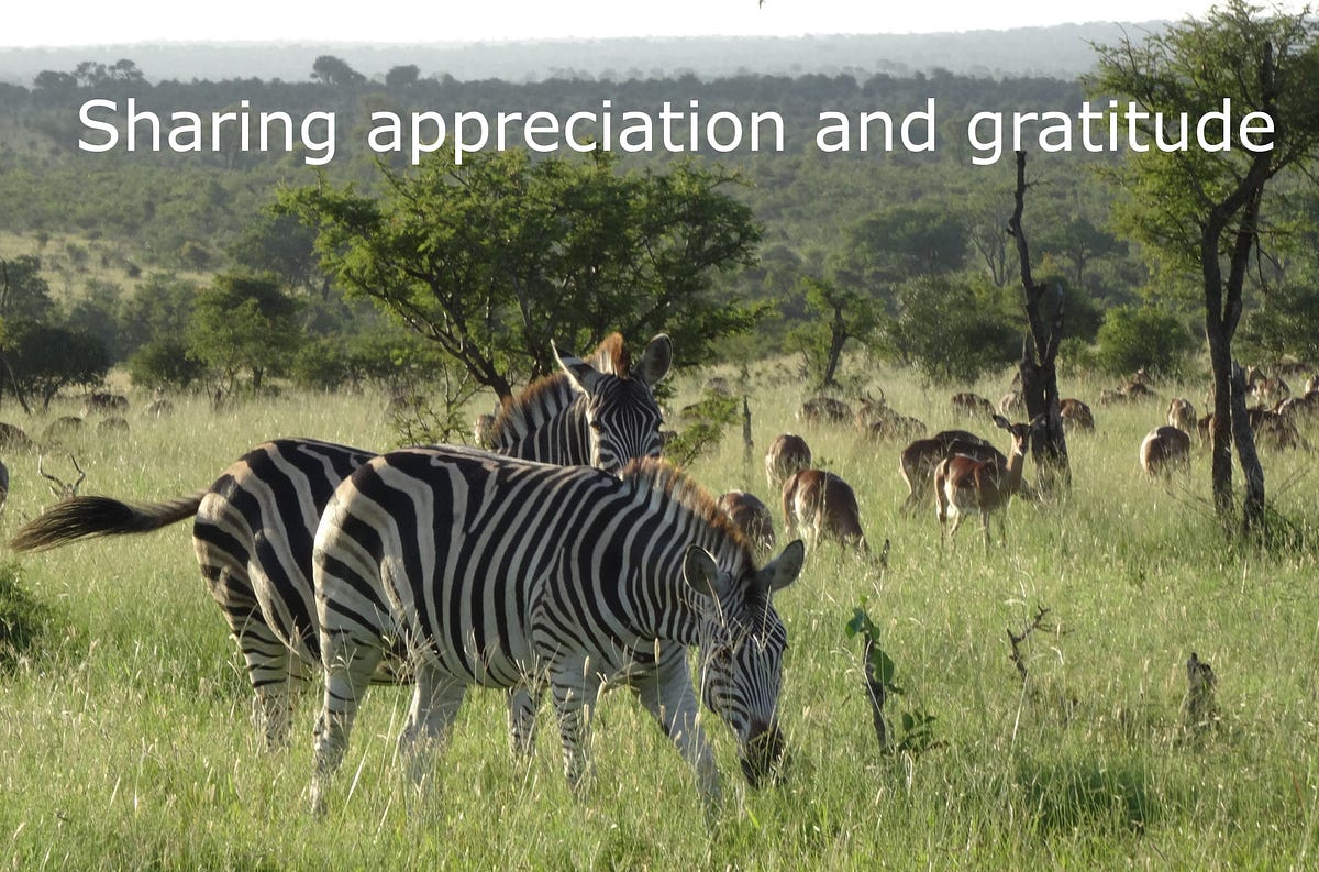 3 Ideas To Make Sharing Appreciation Easier and More Frequent | by Mike ...