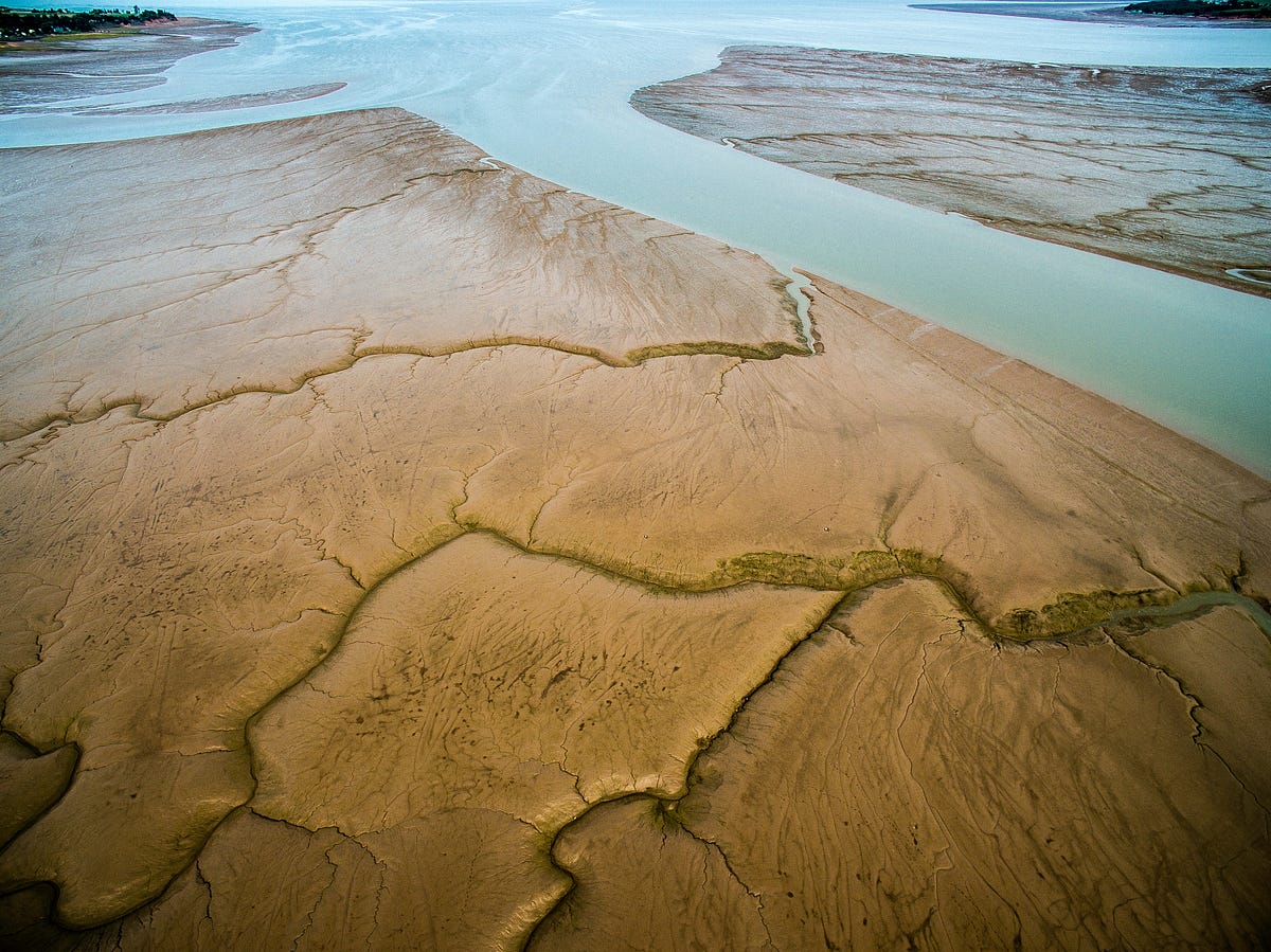 The Delta. The delta is the difference between a… | by Tina He | Fakepixels | Medium