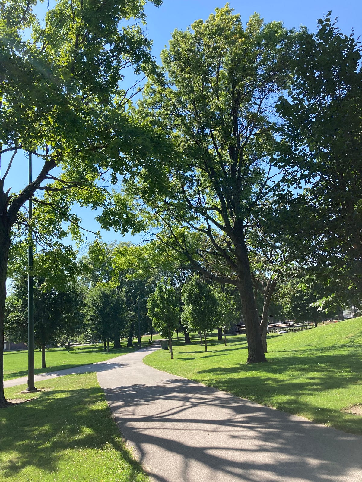 How to Take a NEW Route on an Old Path | by Michele Thill ...