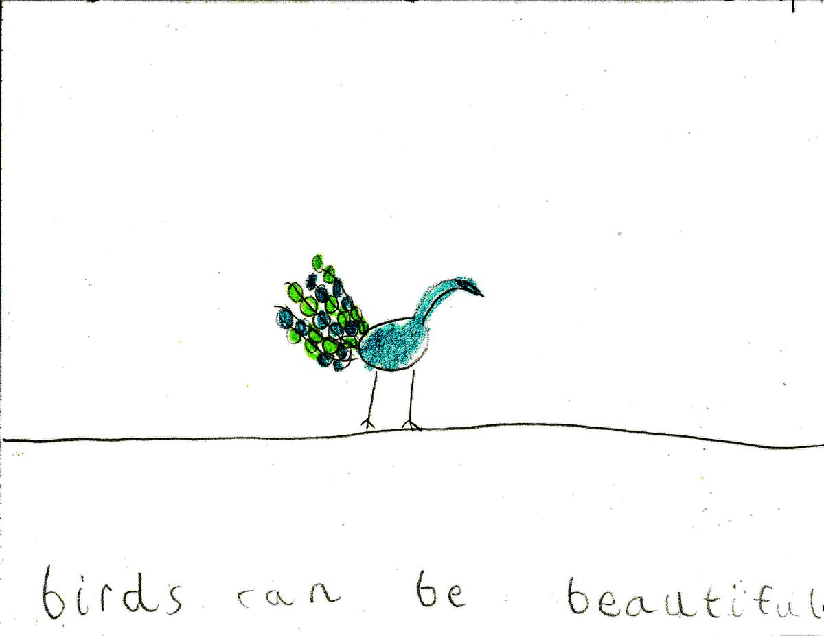 Rediscovering my inner bird kid. When humans disrupt natural habitats ...