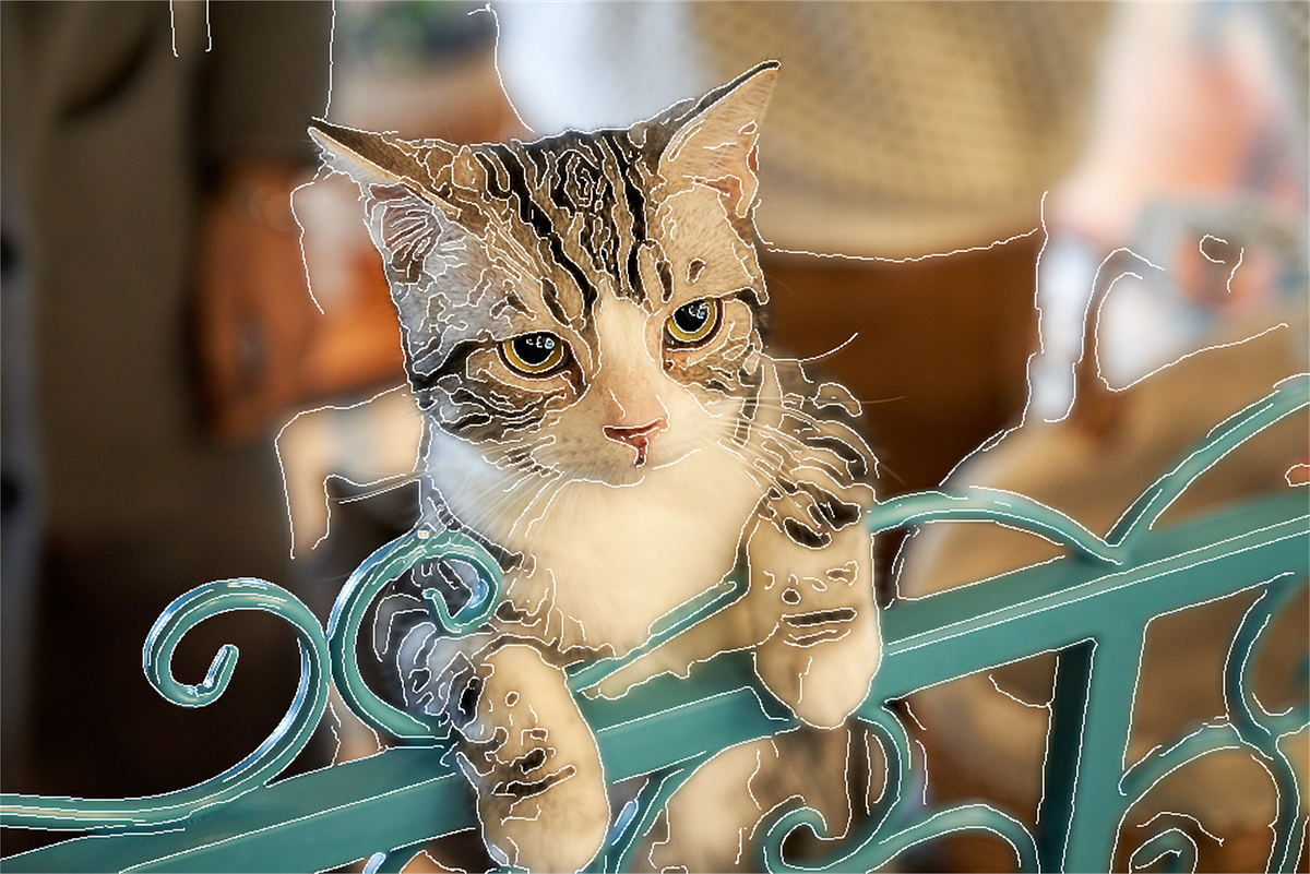 How To Draw a Cat and Other Silly Things With the Wolfram Language | by Arnoud Buzing | TDS ...