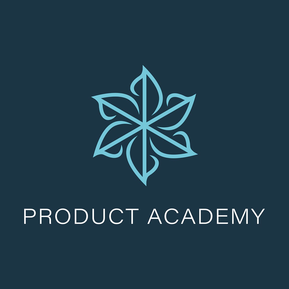 An interview with Tanja Lau from Product Academy | by Whereby | The Whereby Blog | Medium