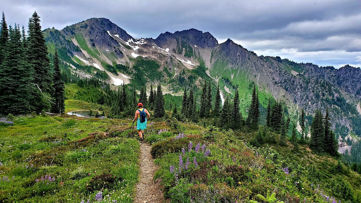 Public Lands for our Public Health | by Washington Wild | Medium