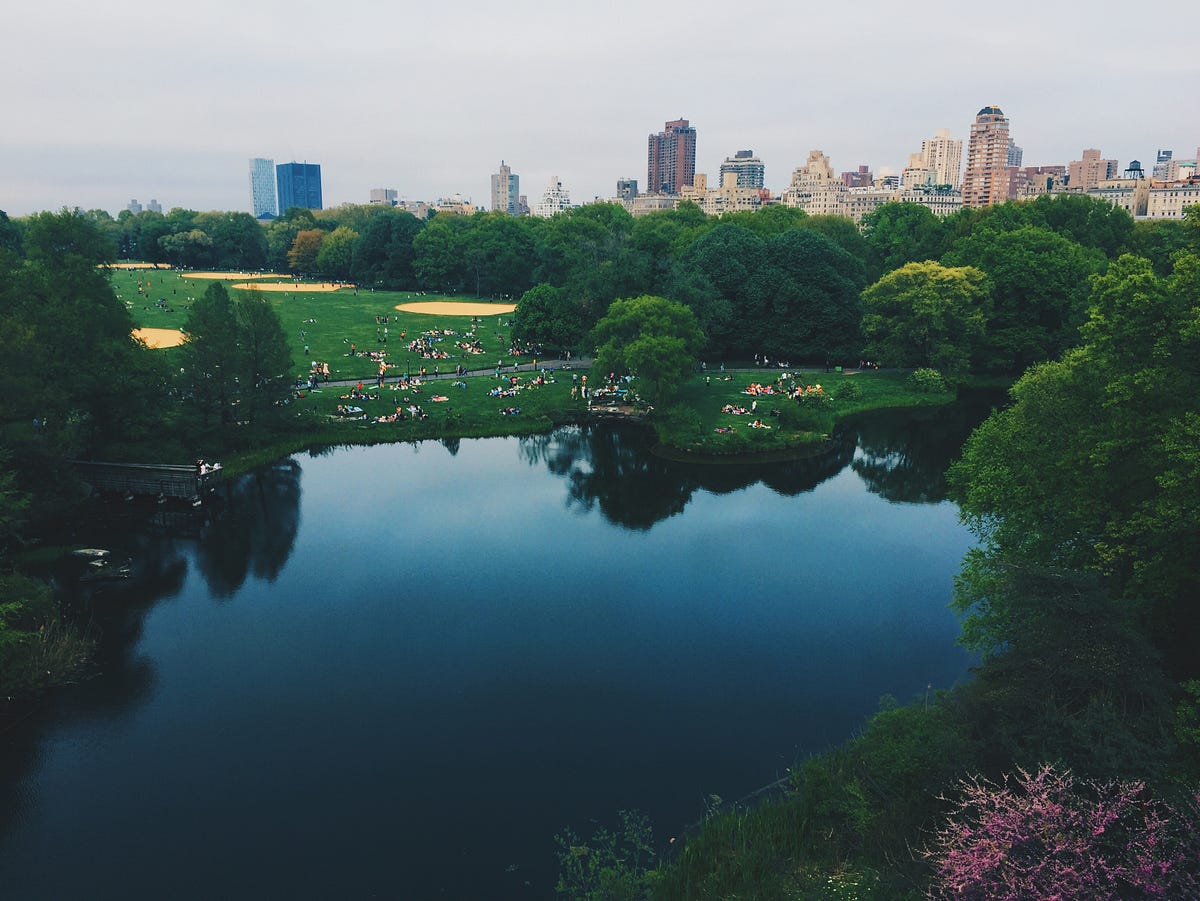 Back to Basics for Park Planners: Getting Started with Demographic Data ...