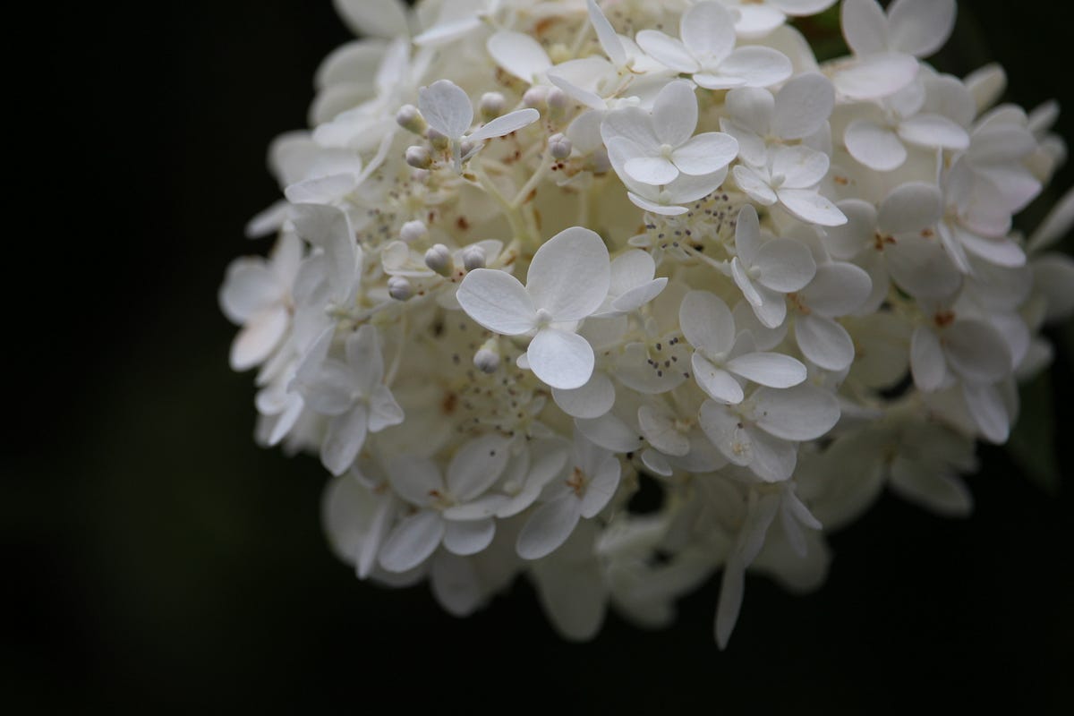 Karma Faded Away Itself at That Time | by Soichi Sato | The Origin Of ...