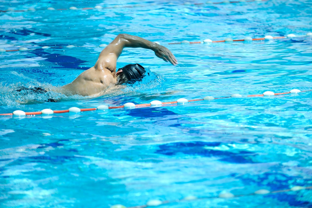 Mastering The Freestyle Swim Stroke | by Social Media Junkie | Medium