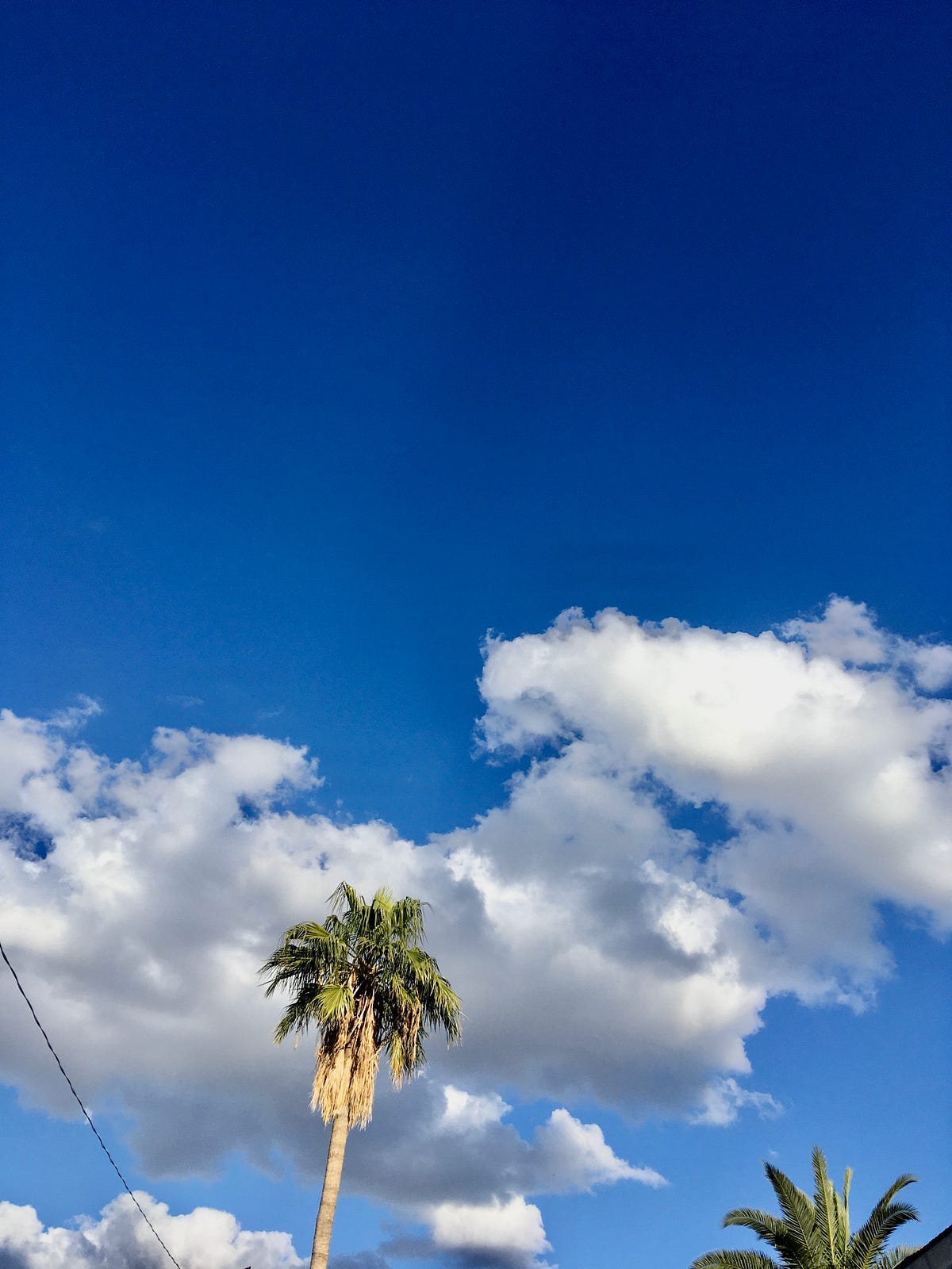 Mmmmm our Times. Oooo — myTrav’ aTravils’ — myVeils” _… | by kurt ...
