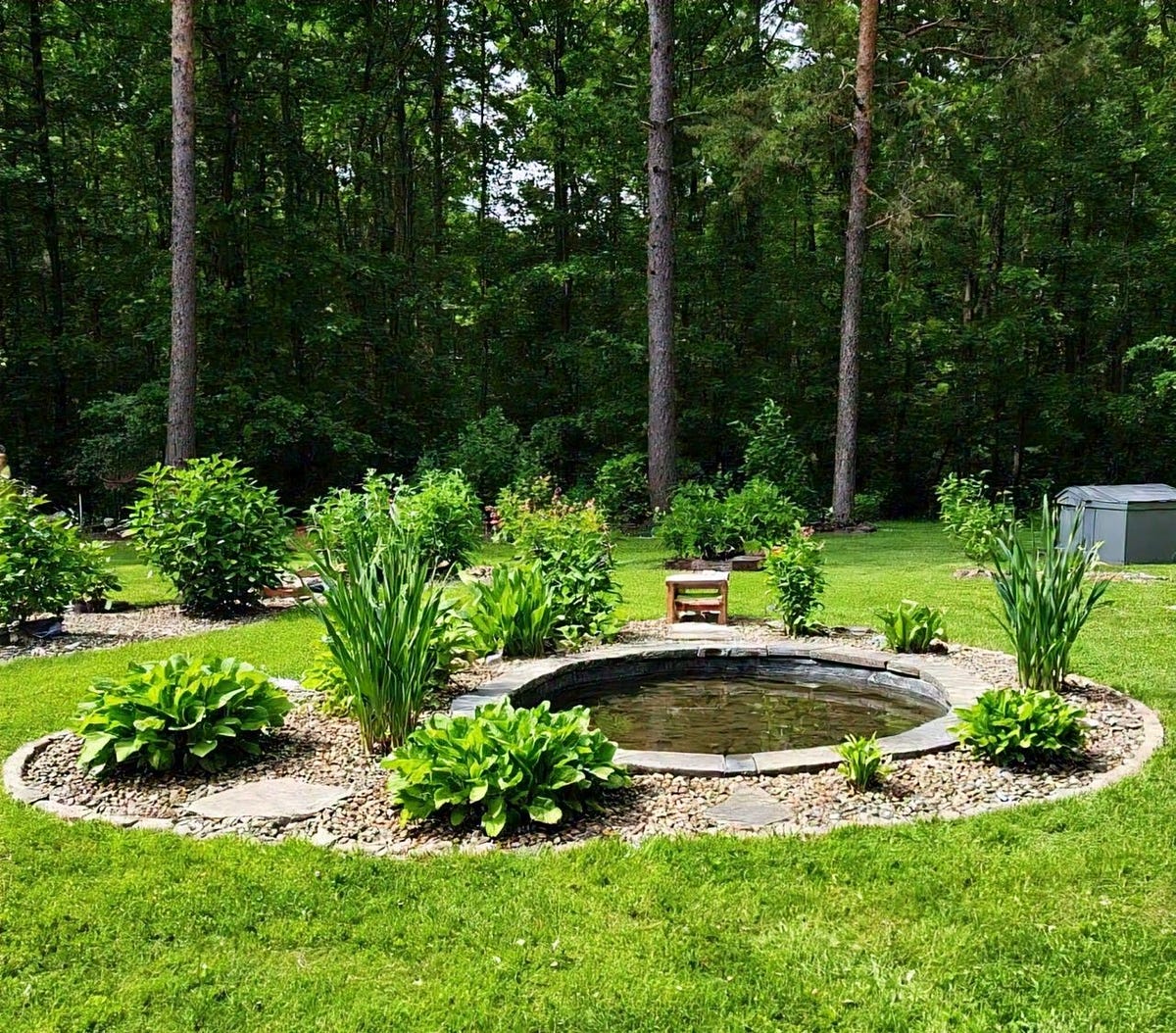 How to Build a Sustainable Garden in Your Backyard | by Nusrat Bibi ...