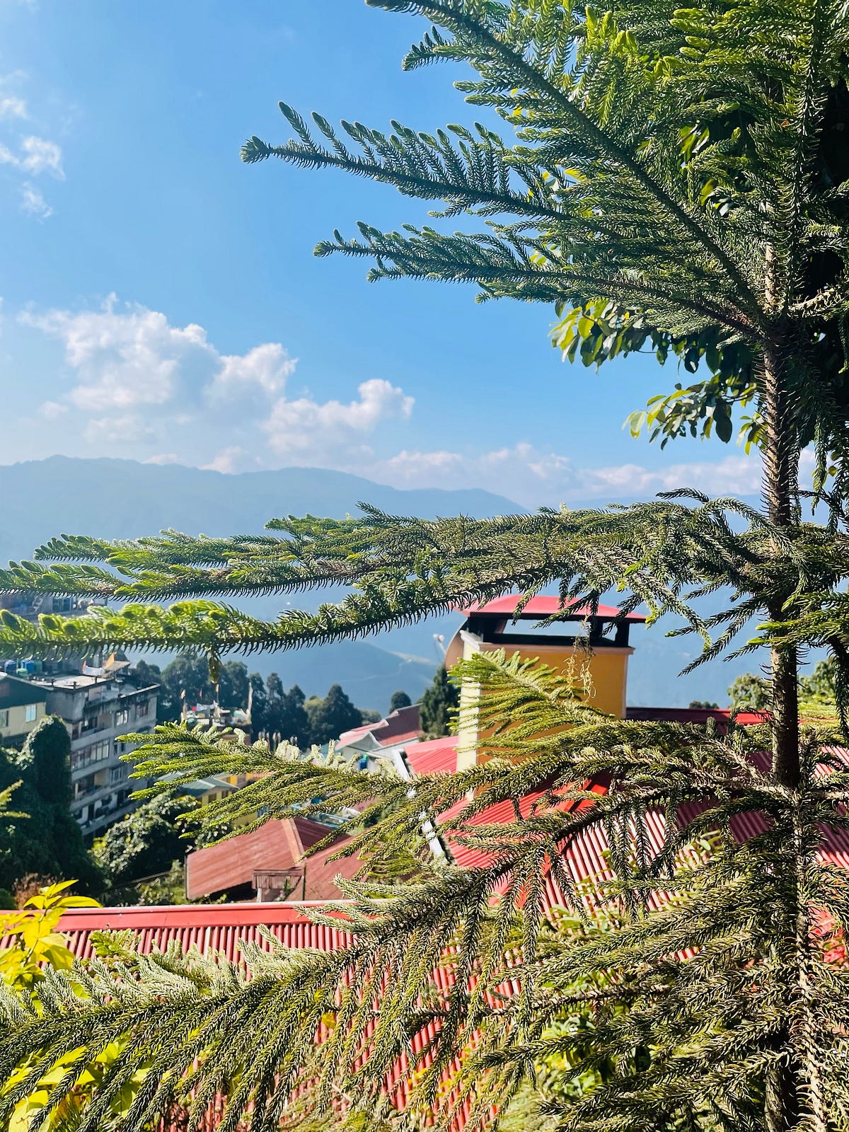 A Simple Meal, A Heart Healed: My Grief Journey Through Cooking | by ...