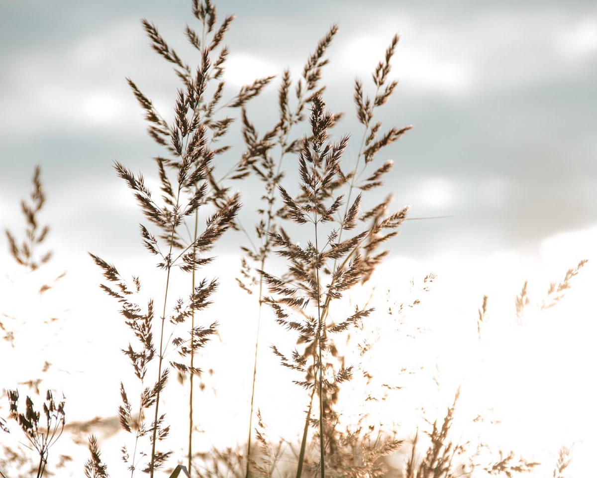 When God Saved Me from an Interview That Never Existed | by Cândida ...