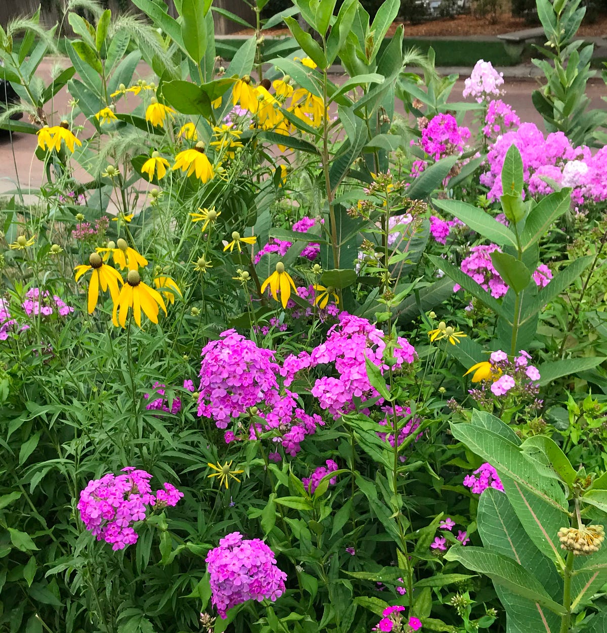 Showtime 5.0 in the Micro-Prairie | by Boyd McPeek | Creating Micro ...