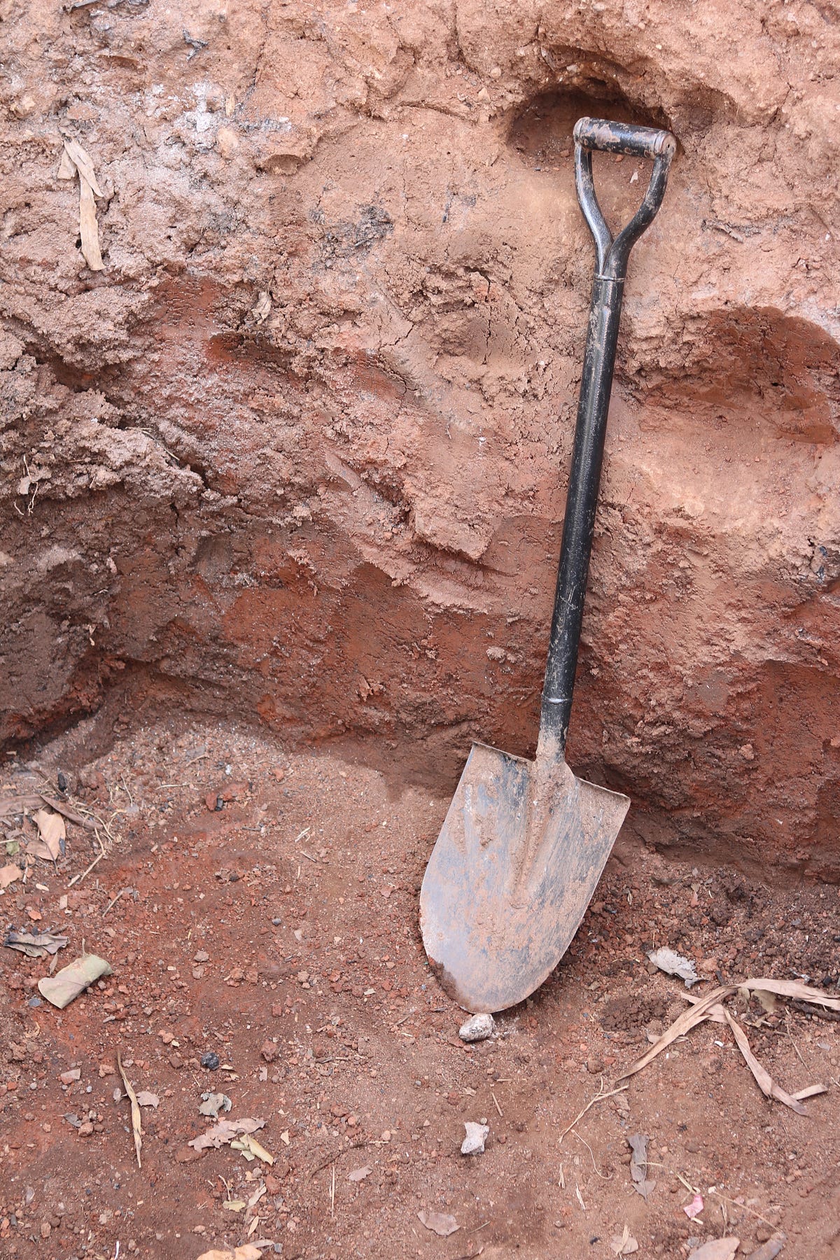 Dig Yourself Out of Your Rut Unless It’s The One You’re Buried In | by ...