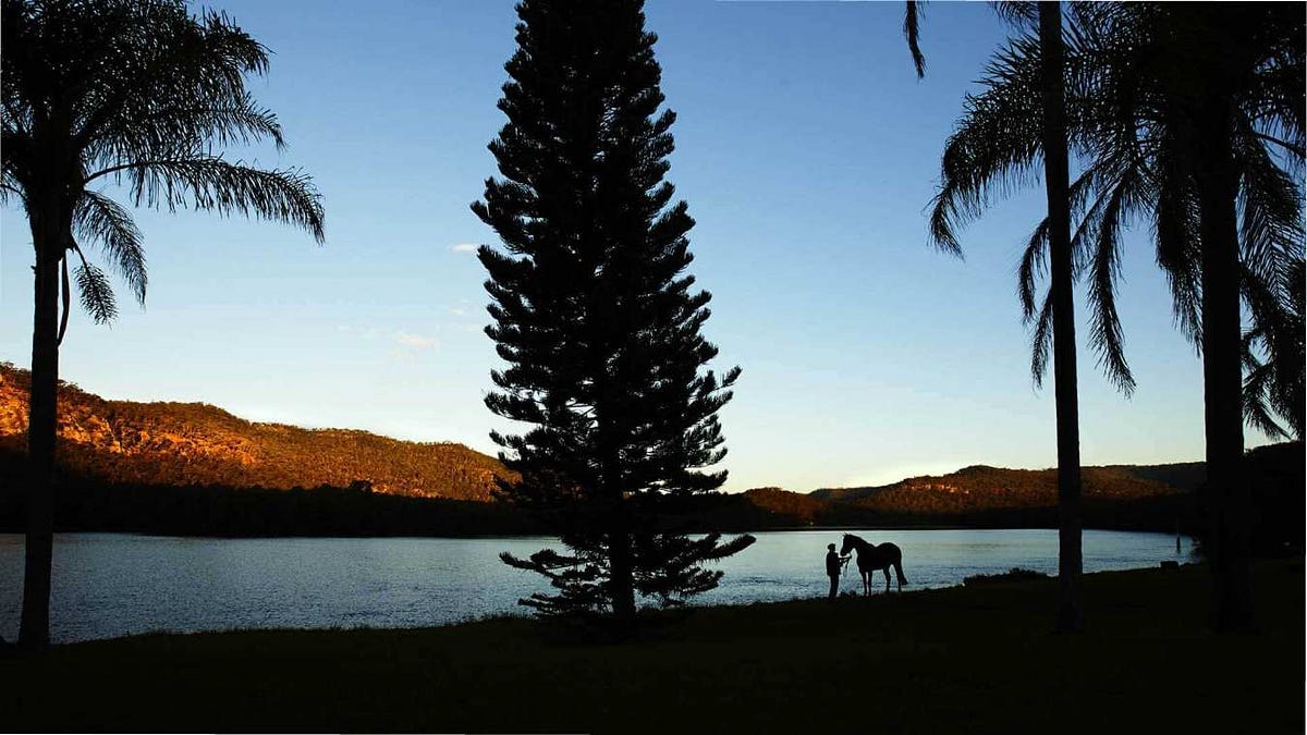 Muskoka Farm — Home to Australia’s Top Trainers | by Muskoka Farm | Medium
