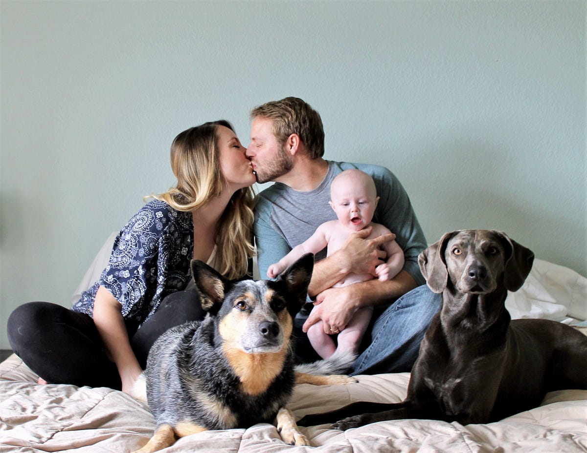 Raise a happy, well-behaved puppy in simple steps | by Nik Patel | Medium